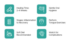 Healing the Tongue Frenulum: How Long Does It Take to Recover?